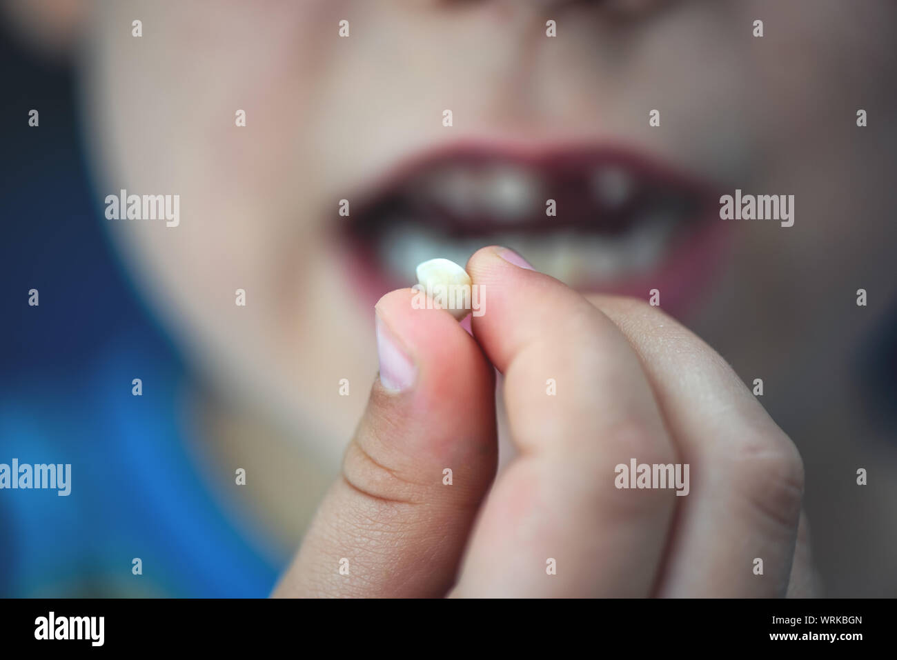 Proud young boy (age 6) holds his falling milk teeth. Childhood ...