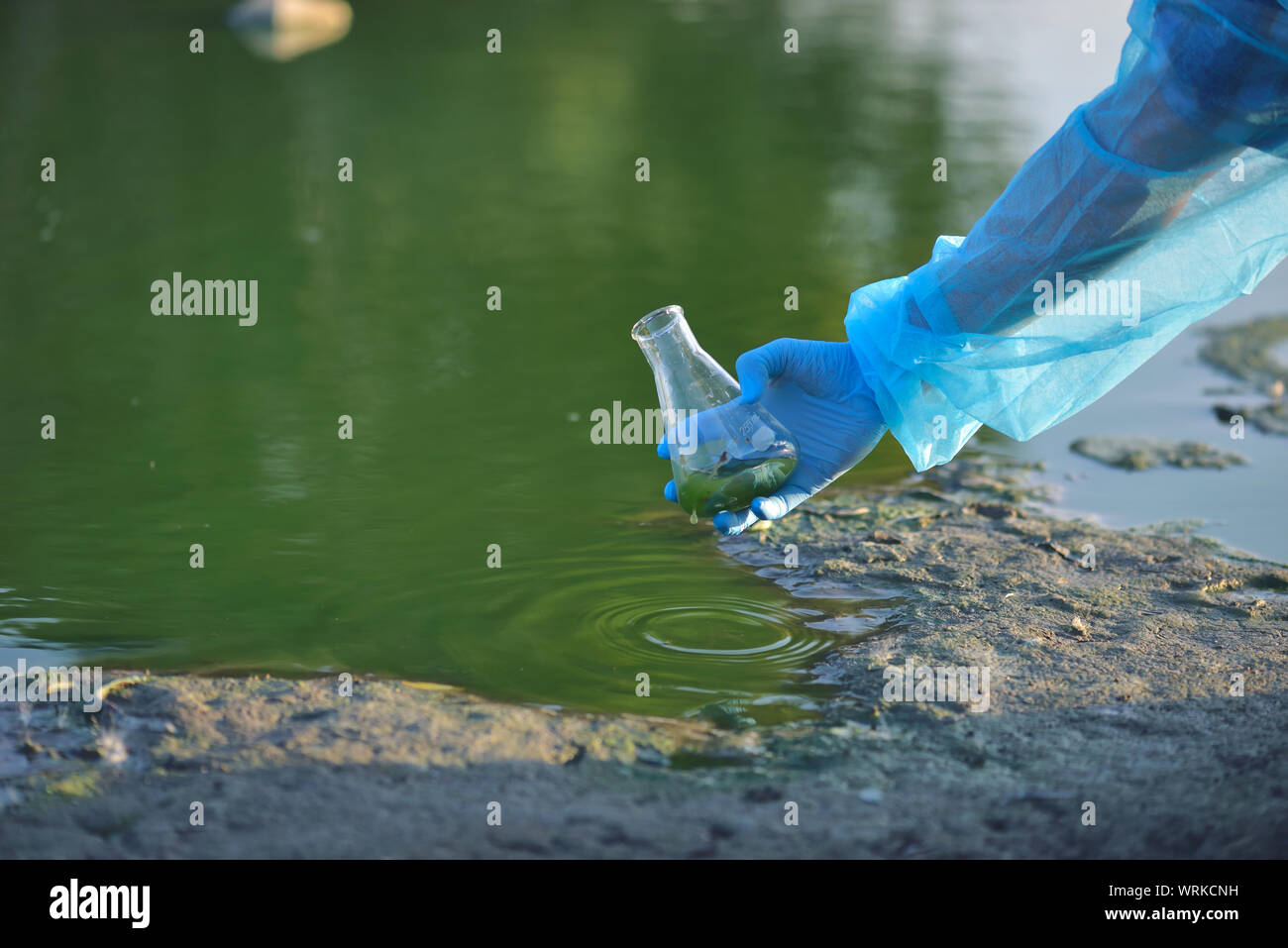 Close-up environmentalist hand of a researcher in a process of taking a ...