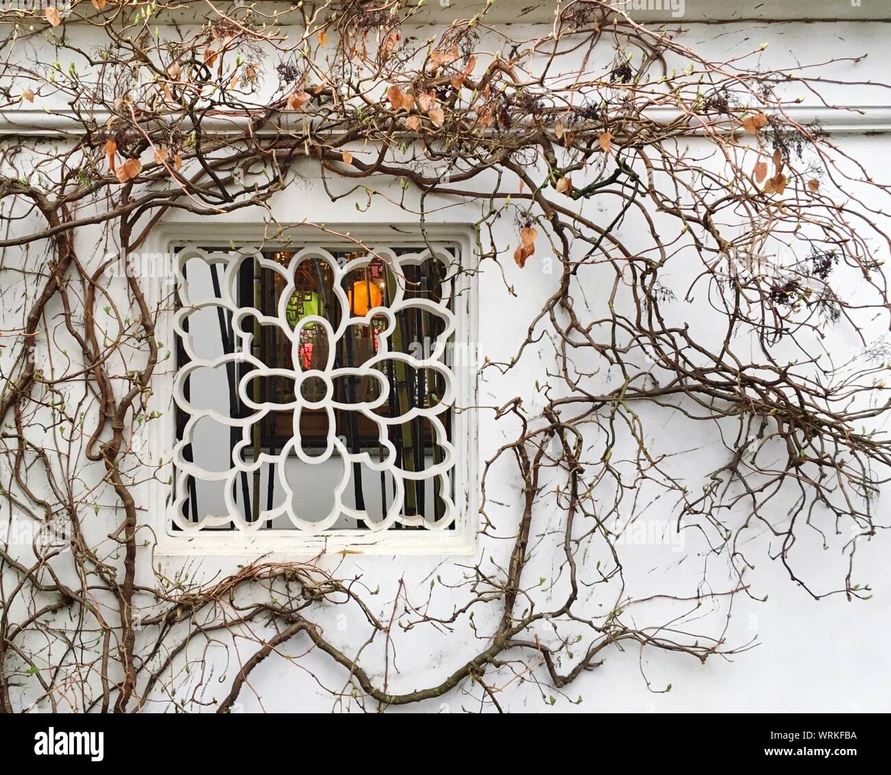 Creepers architecture hi-res stock photography and images - Alamy