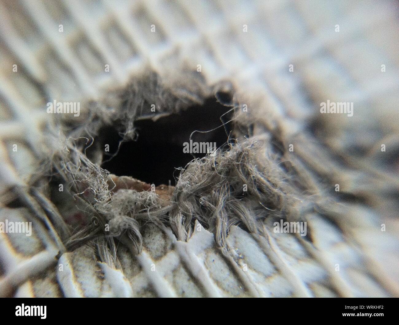 Hole fabric close up hi-res stock photography and images - Alamy