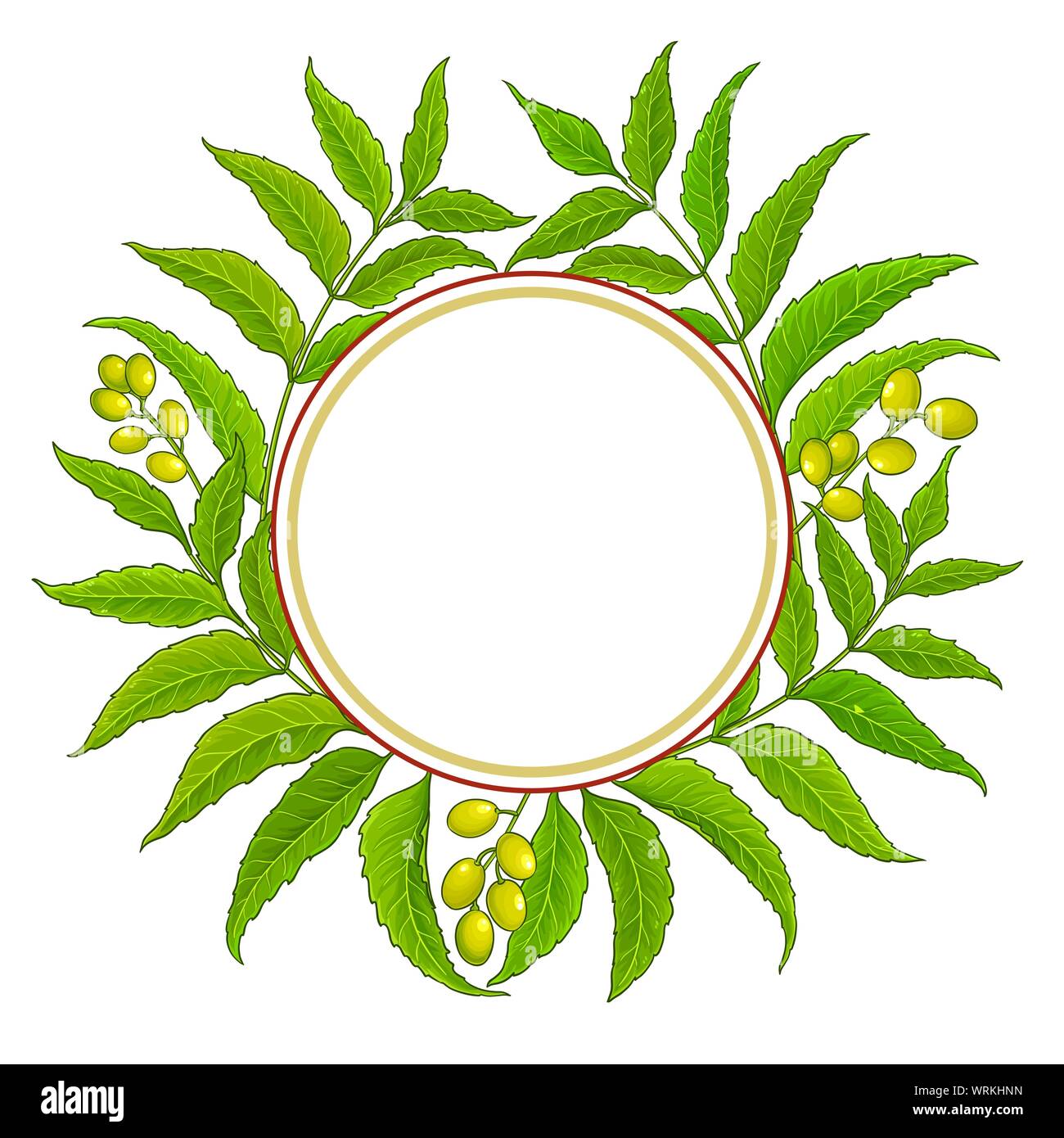 Neem tree Stock Vector Images - Alamy