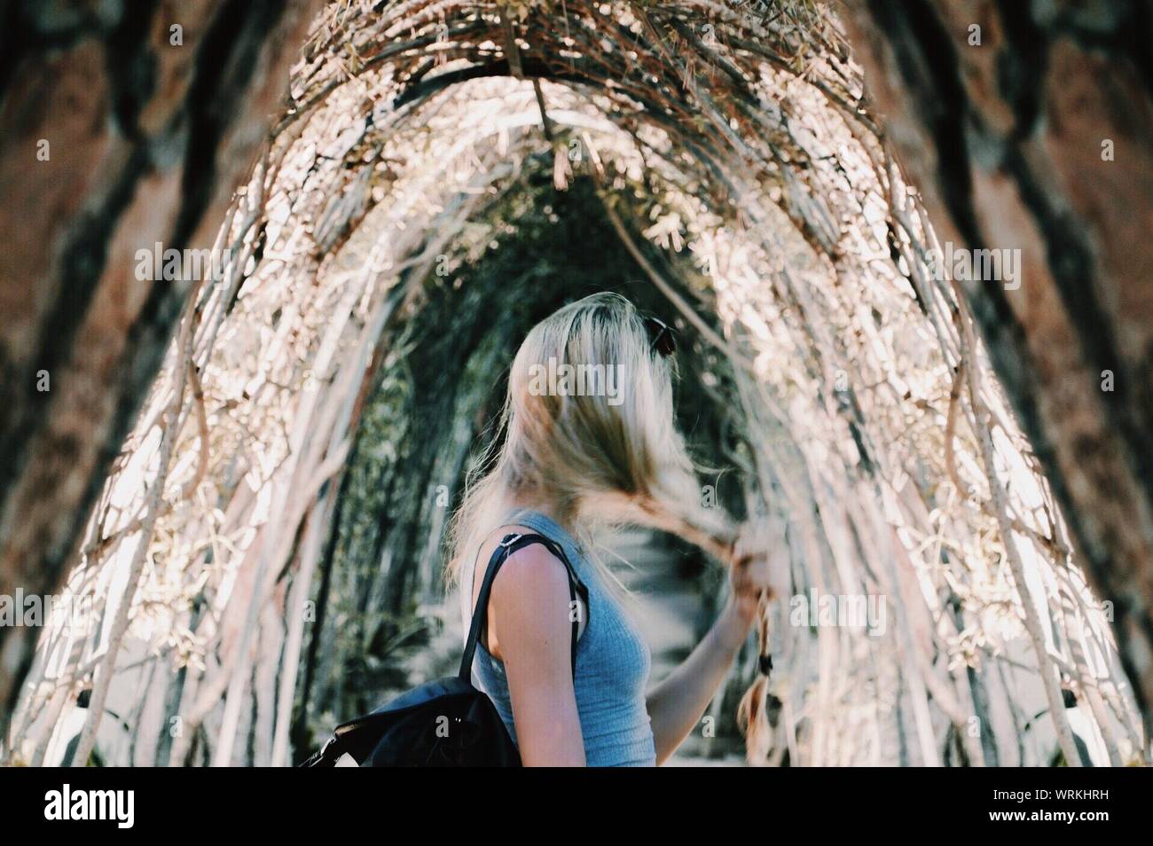 Braided trunk hi-res stock photography and images - Alamy