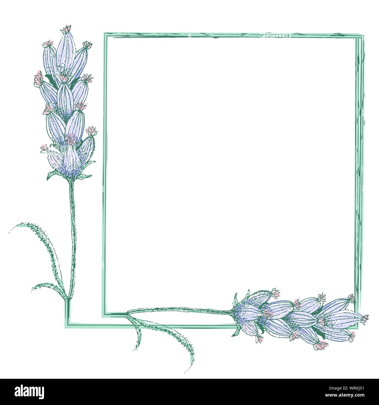 Sophisticated lavender flowers vintage style square frame design. Hand ...