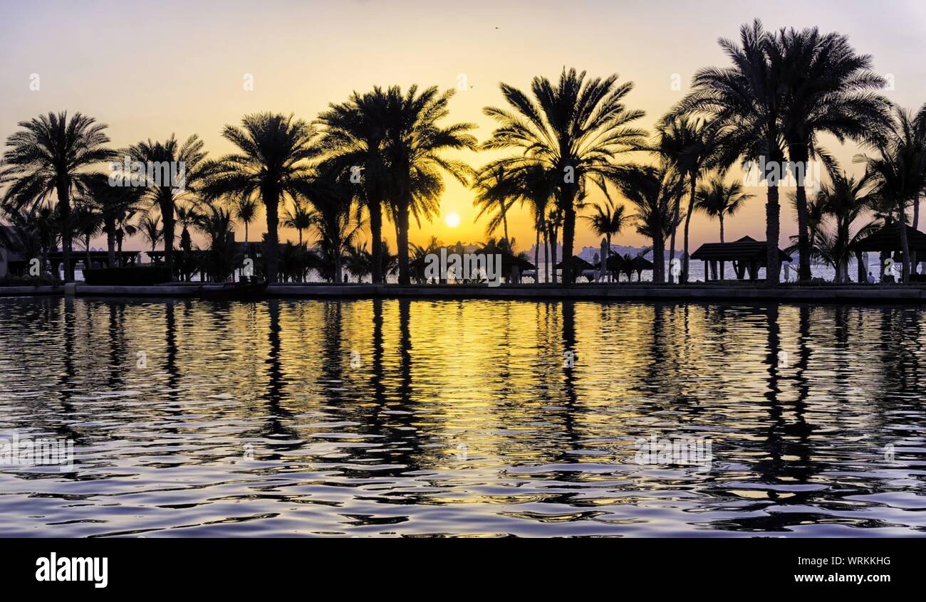 Sunset behind palm trees hi-res stock photography and images - Alamy