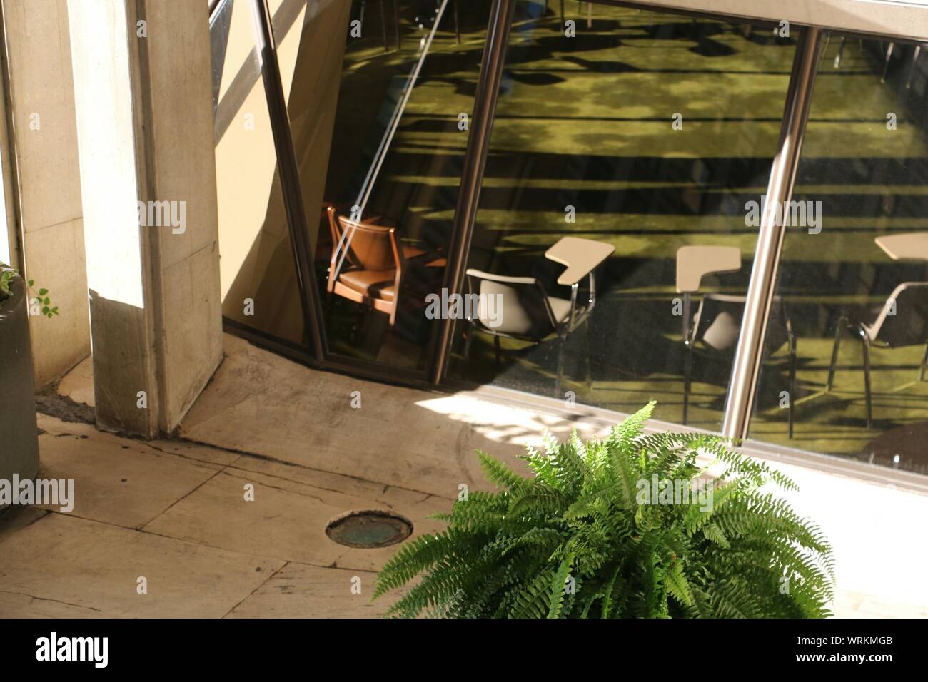 Color Modern School Building High Resolution Stock Photography and ...