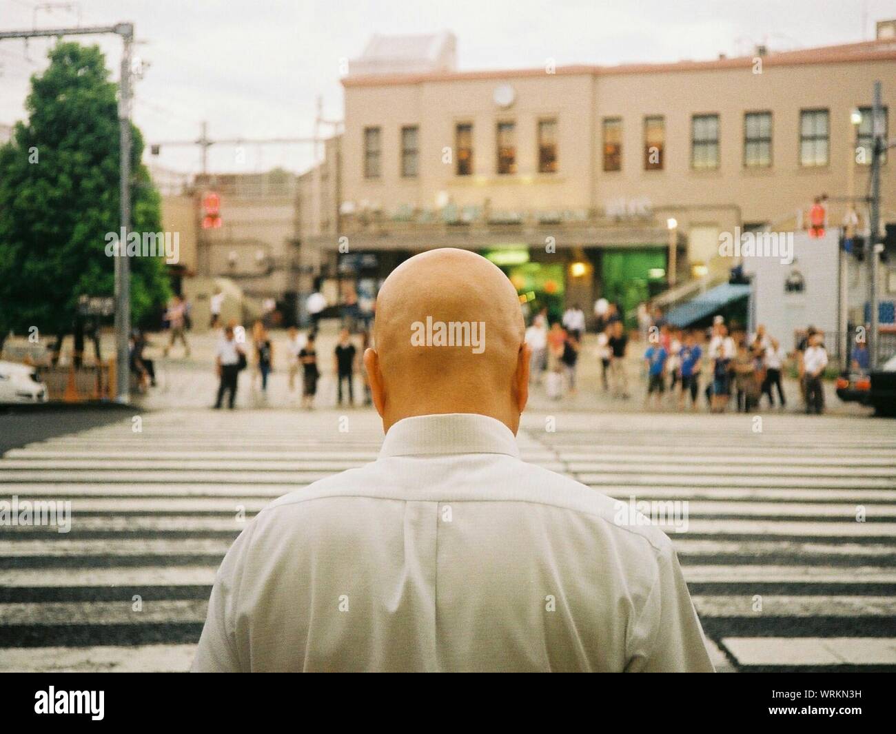 Back view man head bald hi-res stock photography and images - Alamy
