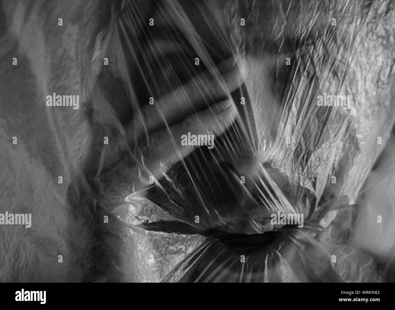 Portrait with a covered face hi-res stock photography and images - Alamy
