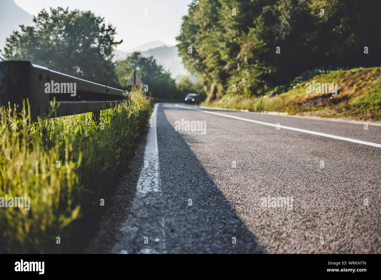Forest road corner in the morning and vehicle coming in distance Stock ...