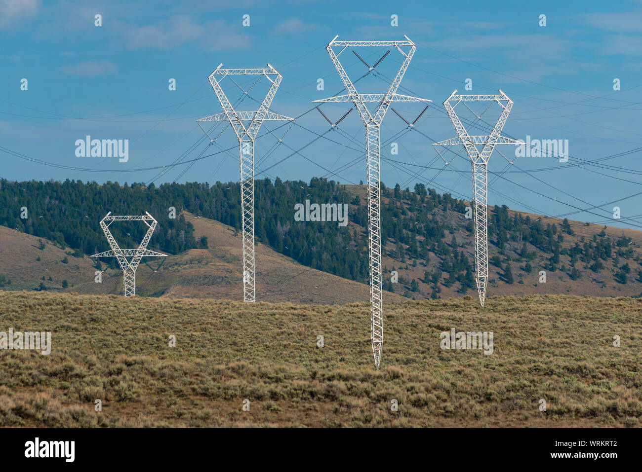 Guyed Transmission Tower