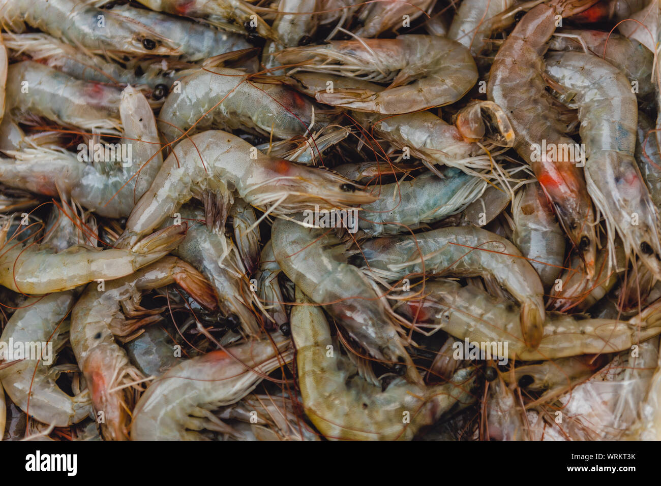 Fresh shrimp on basket Stock Photo - Alamy