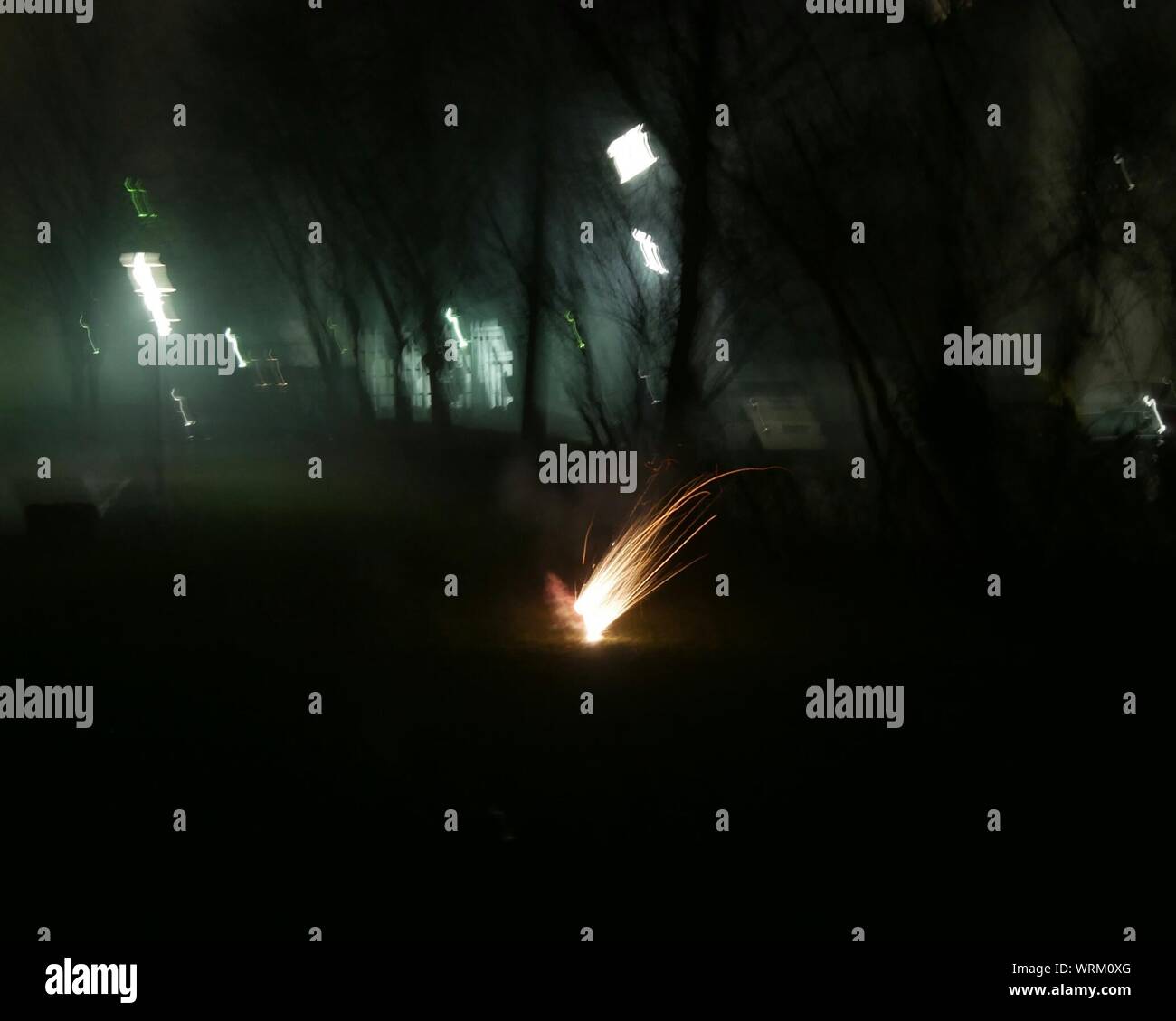 Exploding Tree High Resolution Stock Photography and Images - Alamy