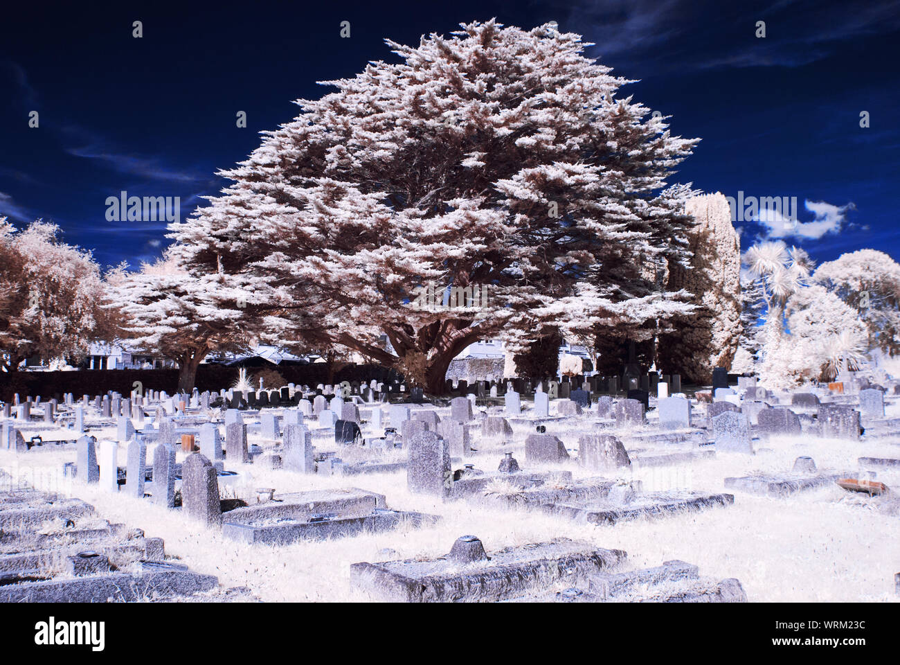Creepy graveyard hi-res stock photography and images - Alamy