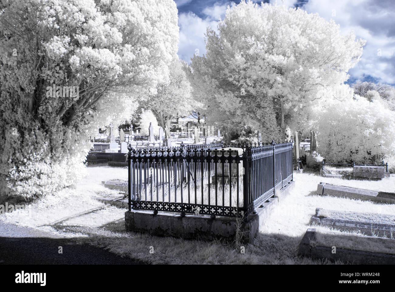 Eerie creepy spooky hi-res stock photography and images - Alamy