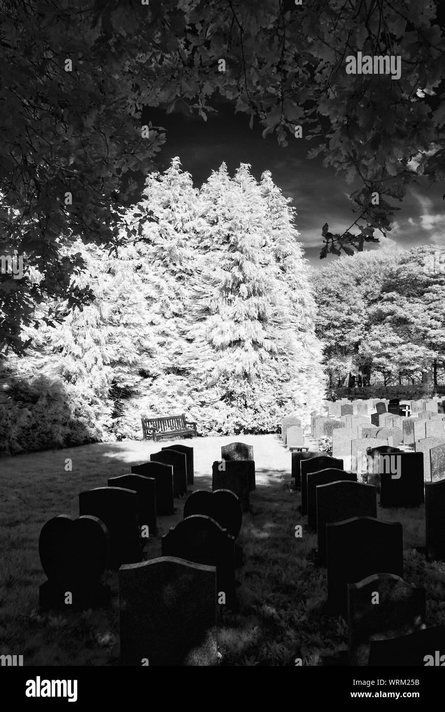 Eerie creepy spooky hi-res stock photography and images - Alamy