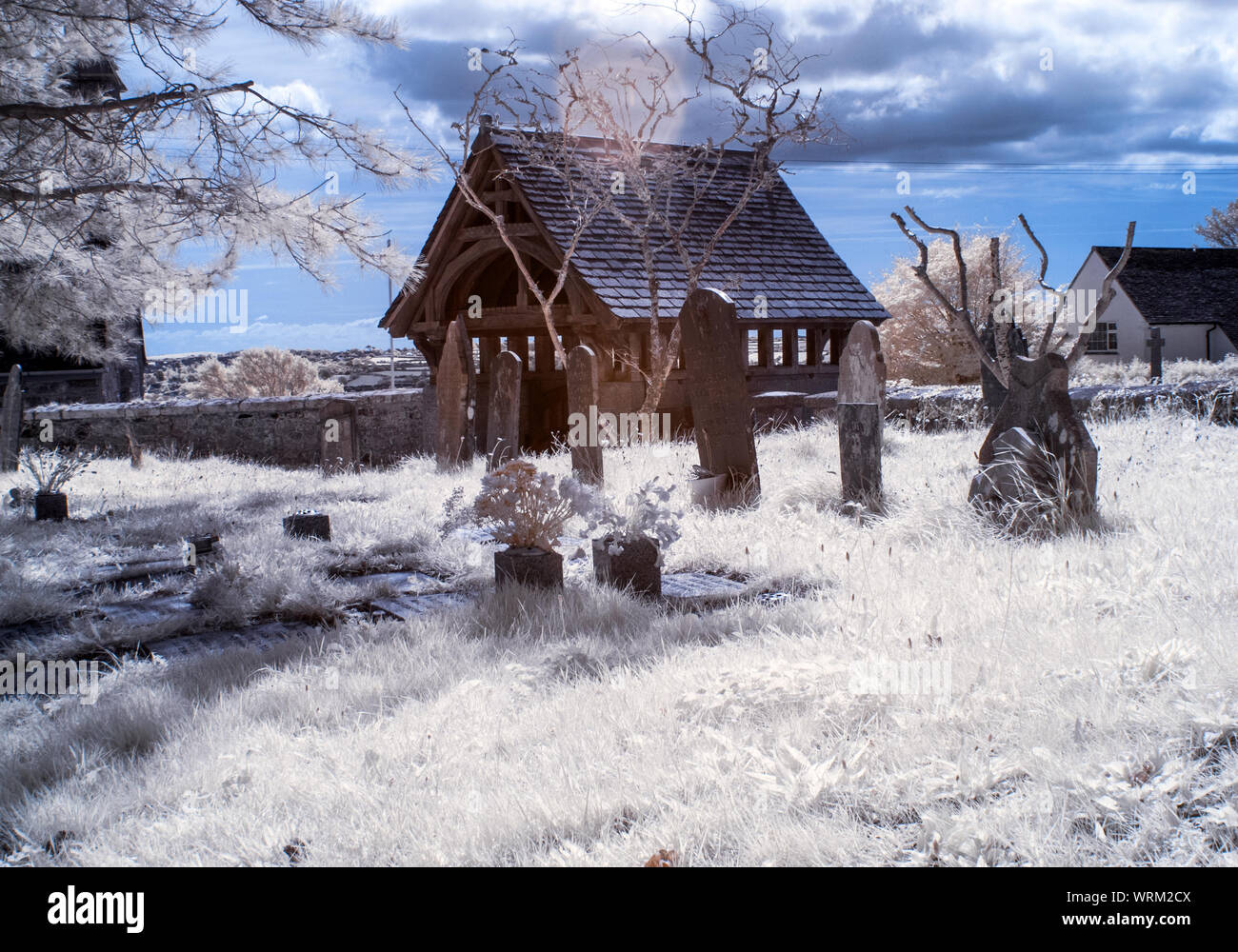 Eerie spooky hi-res stock photography and images - Alamy