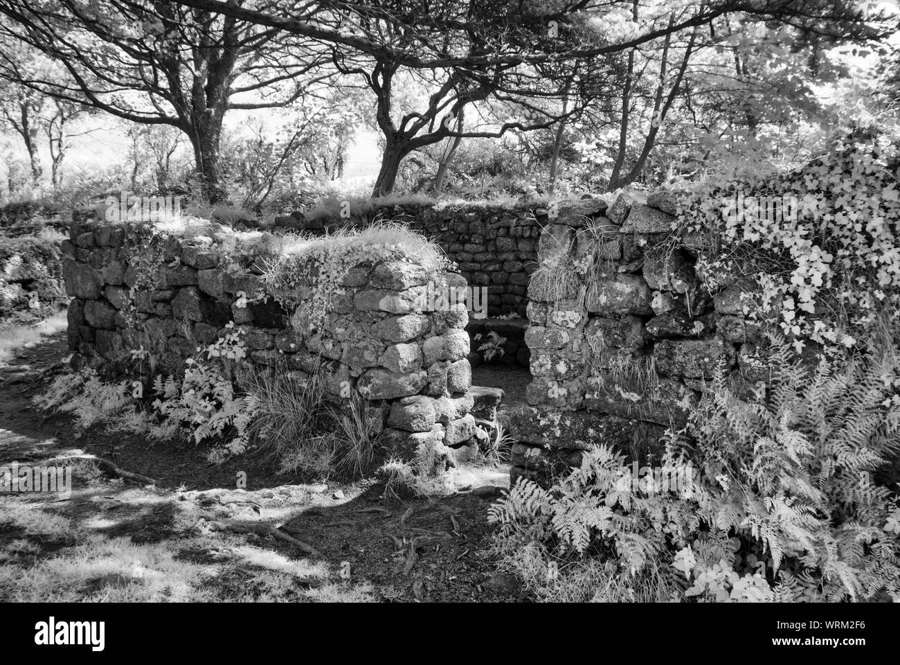 Madron Chapel/Baptistry, old Celtic Chapel, Cornwall UK Stock Photo - Alamy