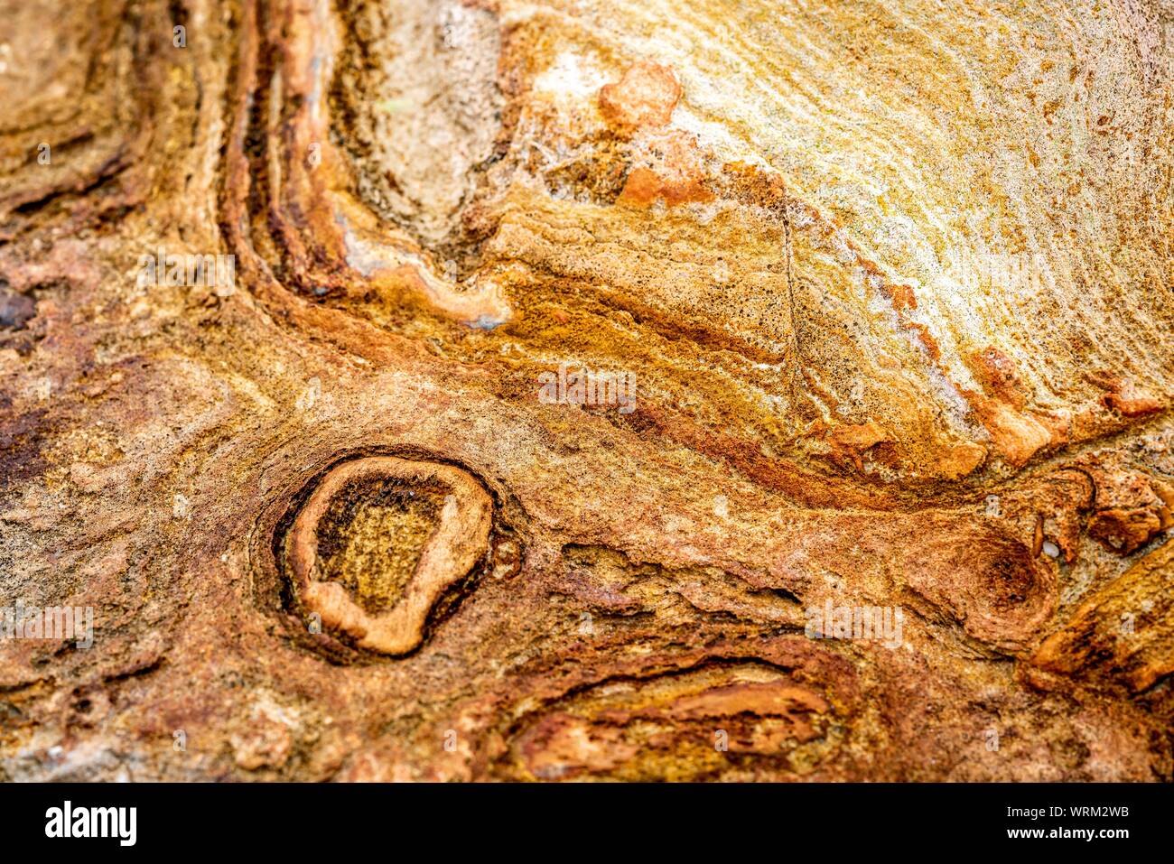 Interesting pattern hi-res stock photography and images - Alamy