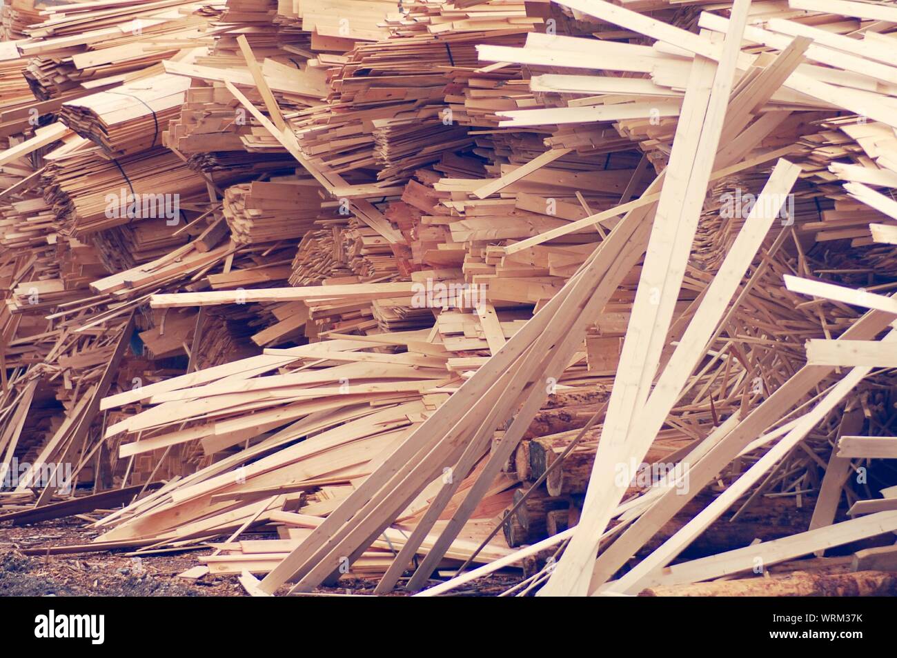 Large wood stack hi-res stock photography and images - Alamy