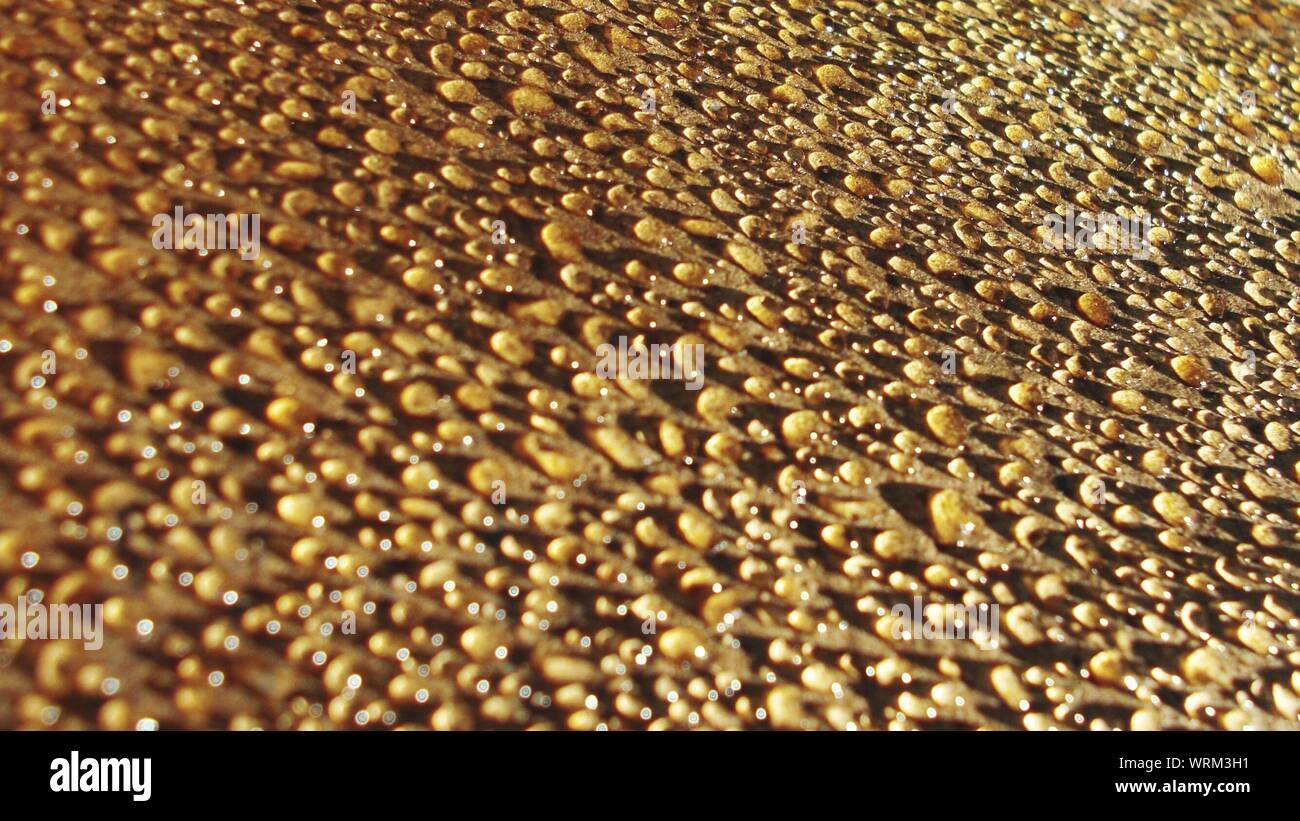 Wet Cardboard High Resolution Stock Photography and Images - Alamy