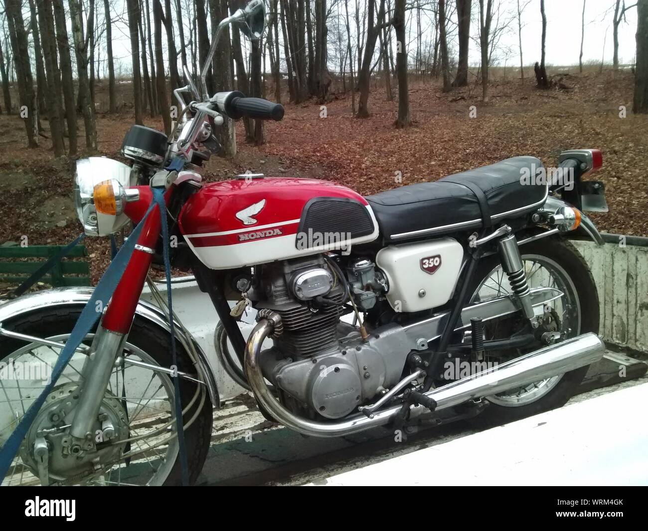 Motorbike on road, trees hi-res stock photography and images - Alamy