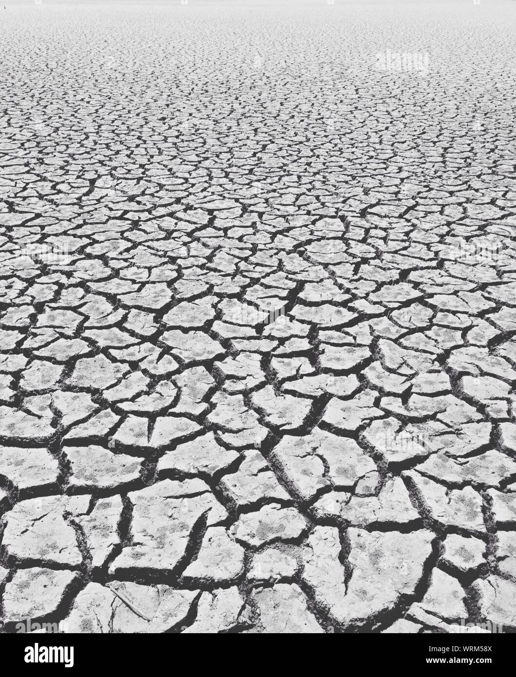 Dry cracked barren landscape hi-res stock photography and images - Alamy