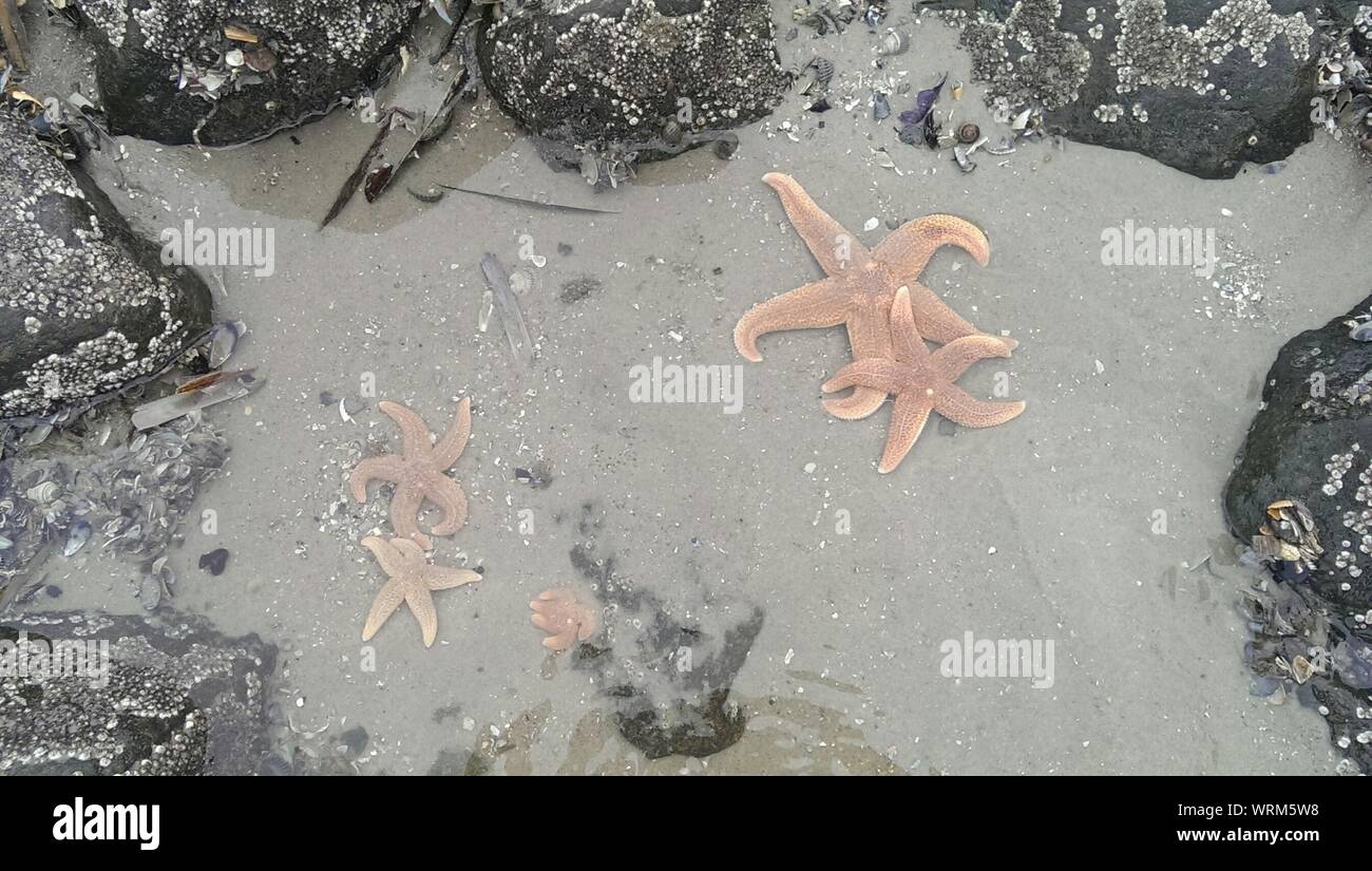 Sand in between the rocks hi-res stock photography and images - Alamy