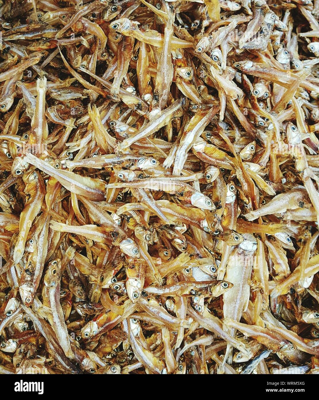 Dry fish hi-res stock photography and images - Alamy