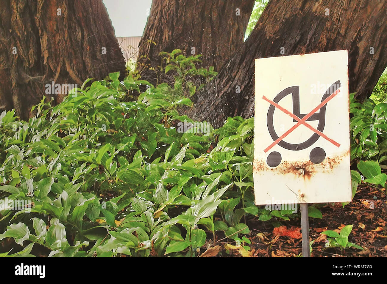 Sign tree hi-res stock photography and images - Alamy
