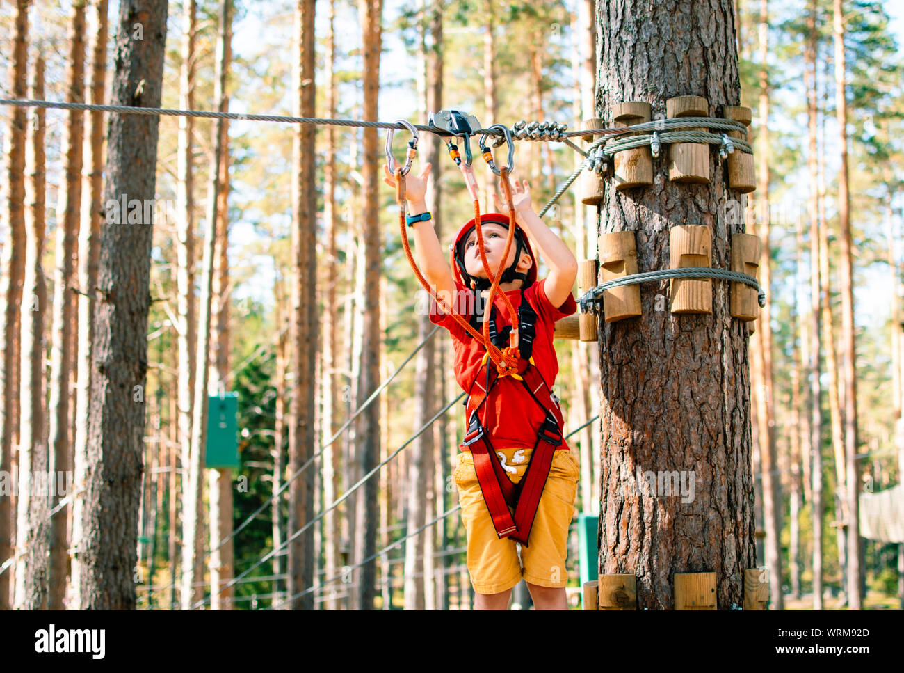 Little boy with climbing gear climbing rope trail between pine trees in ...