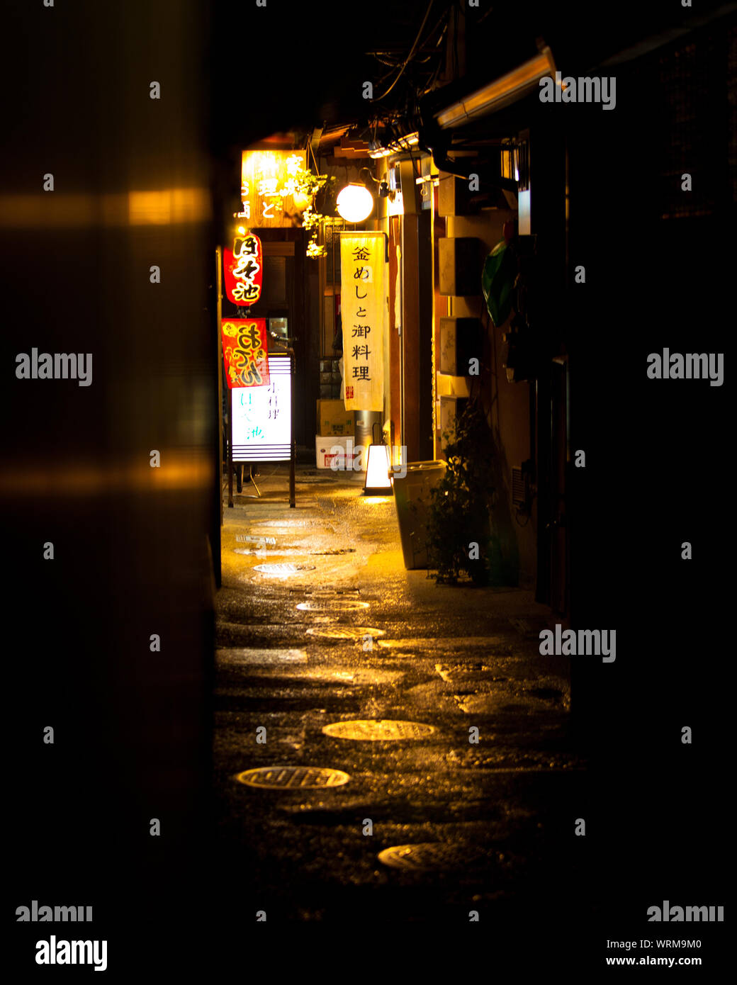 A small alley hosting traditional Japanese restaurants in the popular ...