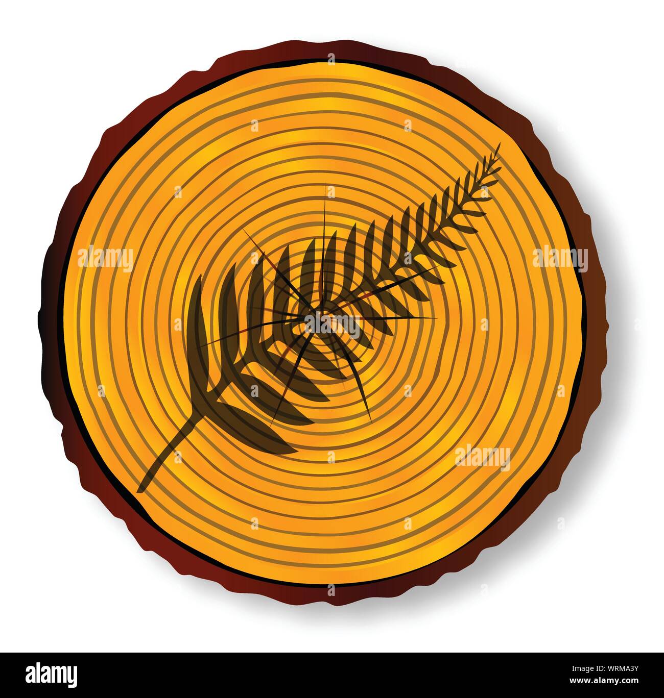 New Zealand Silver Fern On Timber Section Stock Vector Image & Art - Alamy