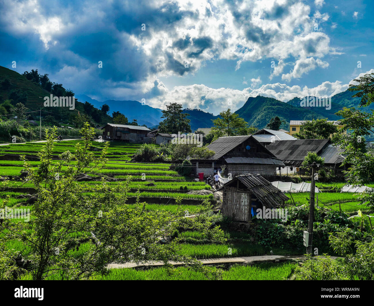 Vietnam Sapa Rice fields view little village Stock Photo - Alamy