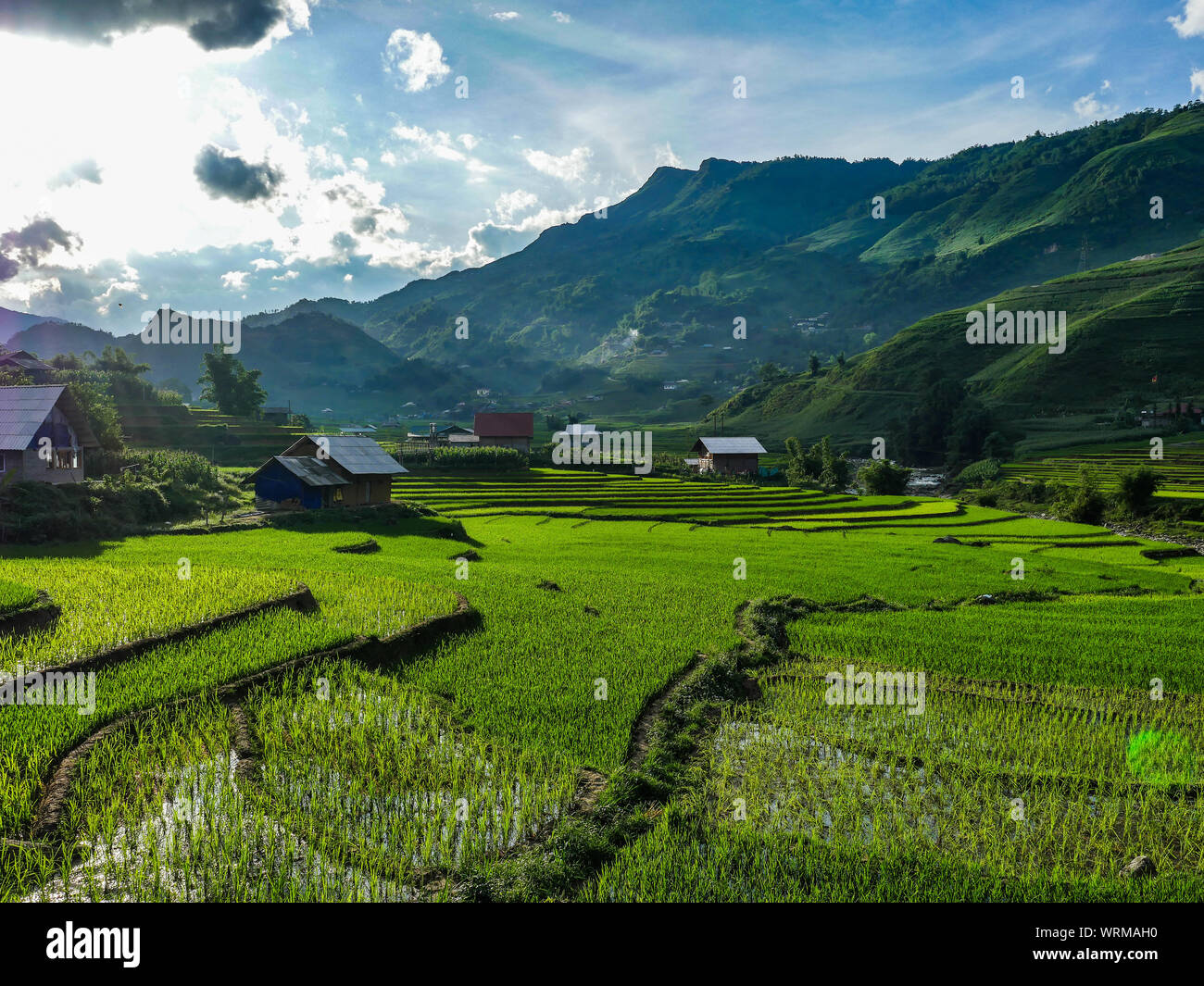 Sapa rice field hi-res stock photography and images - Alamy