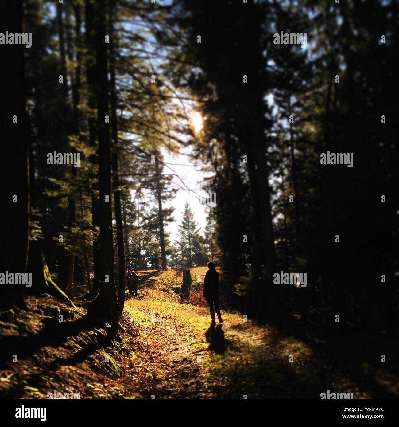 People pathway hi-res stock photography and images - Alamy