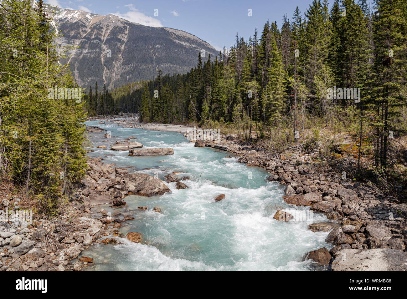 Glacier blue river in Yoho National Park, Canada Stock Photo - Alamy