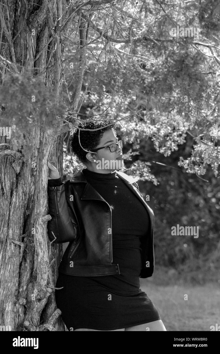 Short trunk tree hi-res stock photography and images - Alamy