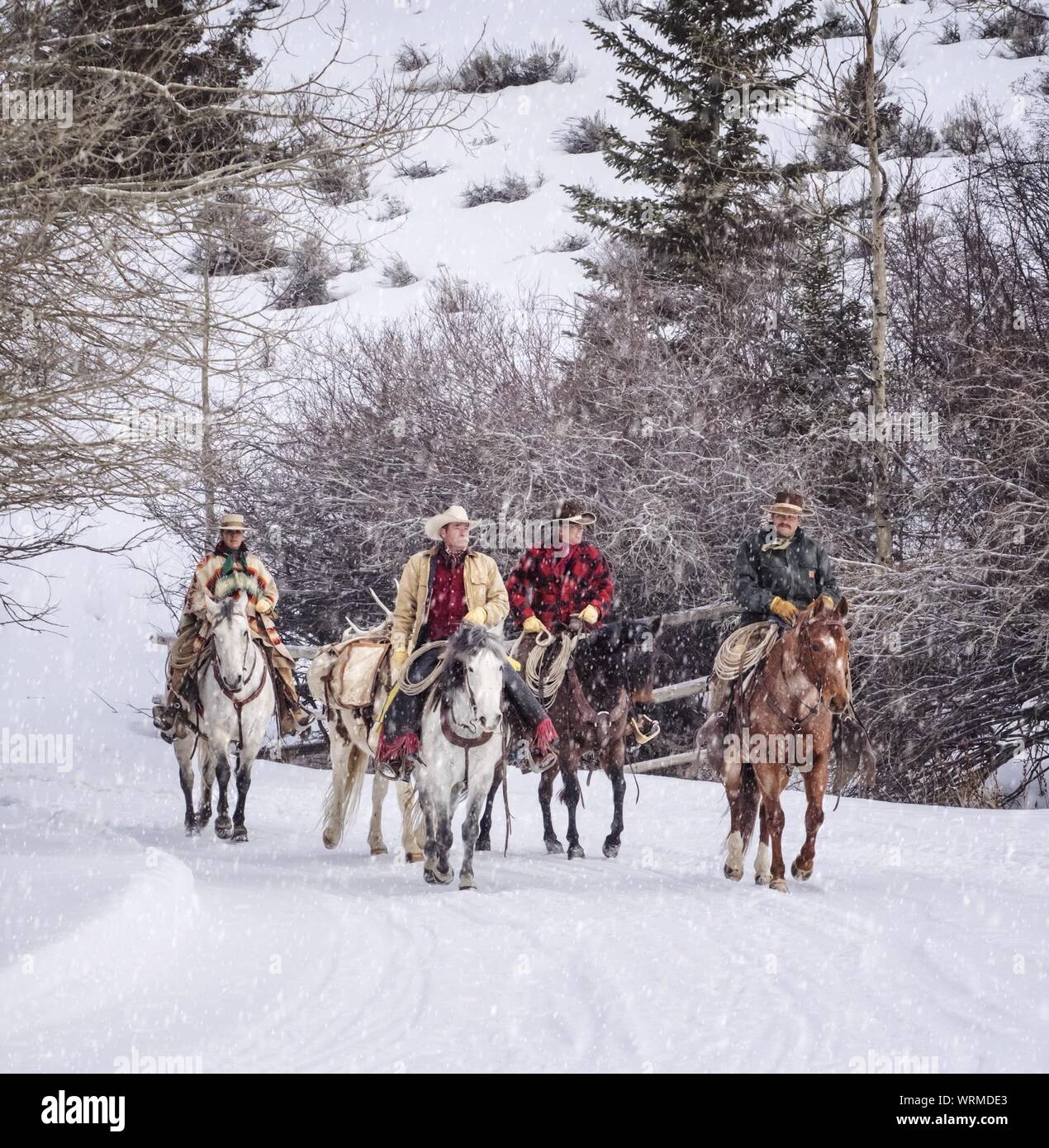 Cowboys Riding Horses In Snow High Resolution Stock Photography and ...