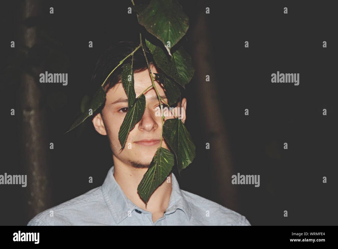 Young twig hi-res stock photography and images - Alamy