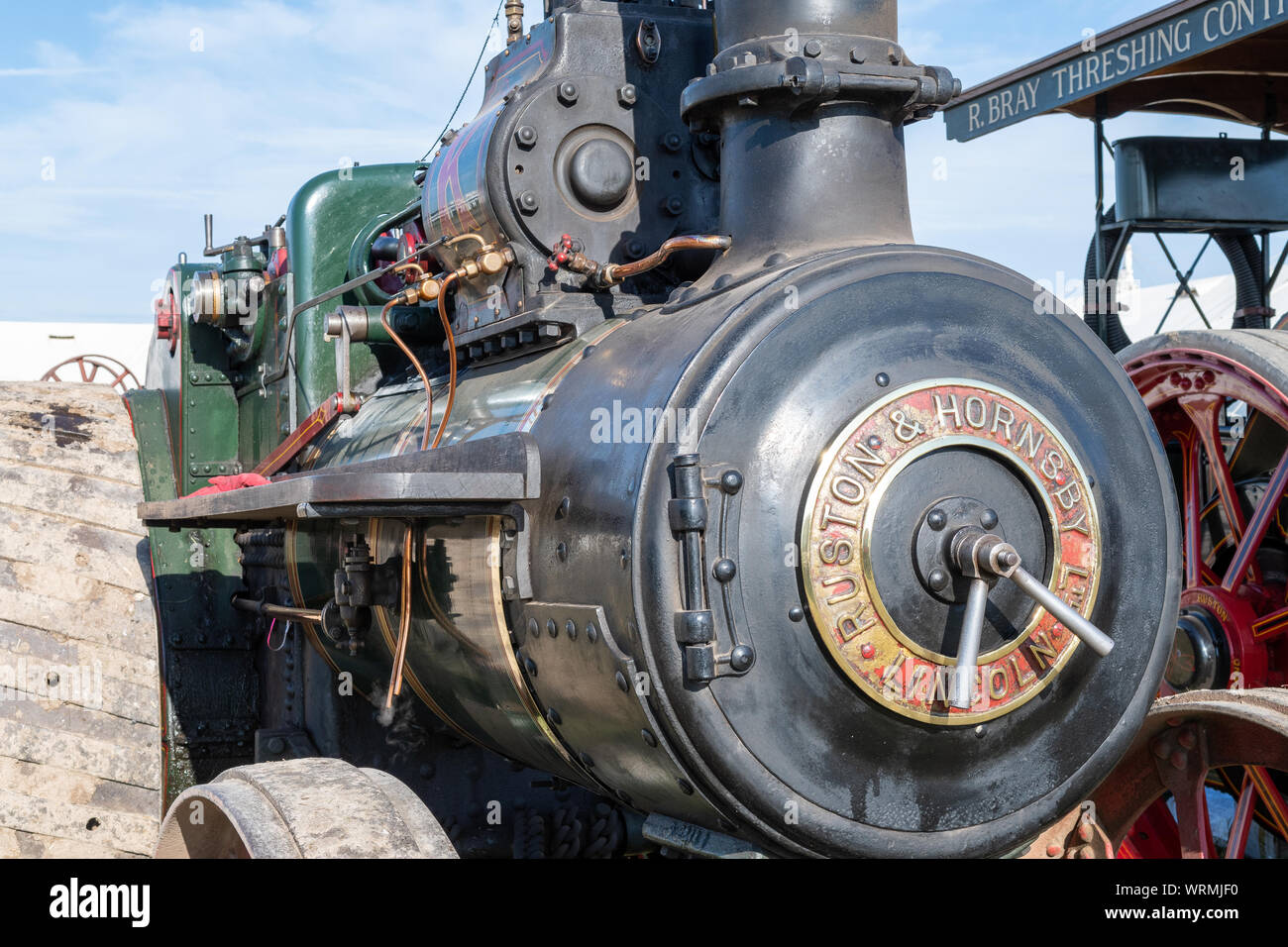 Blandford Forum.Dorset.United Kingdom.August 24th 2019.Close up of a ...