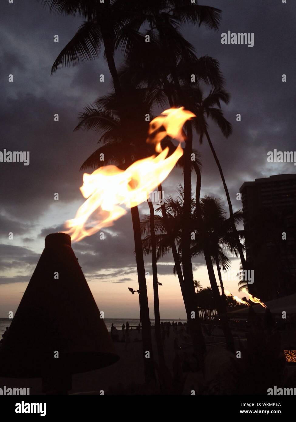Fire palm hi-res stock photography and images - Alamy