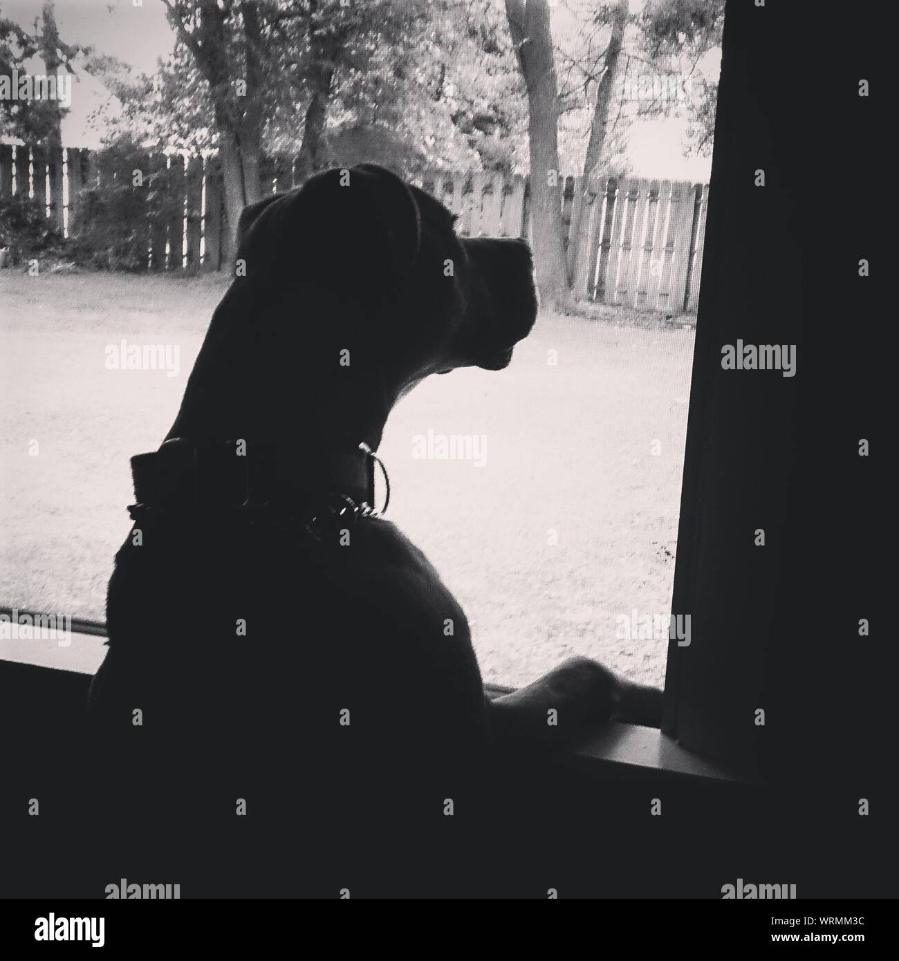 Look outside hi-res stock photography and images - Alamy