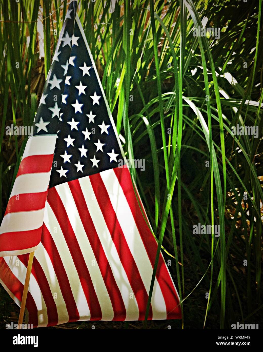 American flag star field hi-res stock photography and images - Alamy