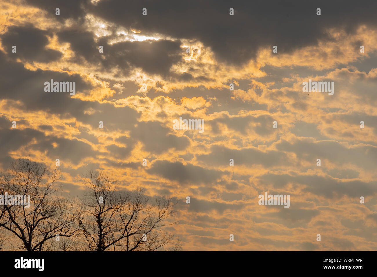 A late autumn afternoon in the south of Brazil, with the presence of ...