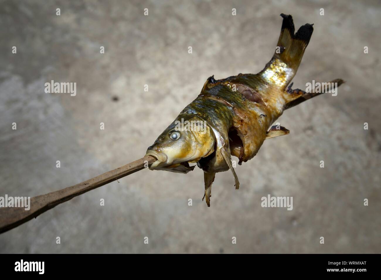 Fish On Stick High Resolution Stock Photography and Images - Alamy