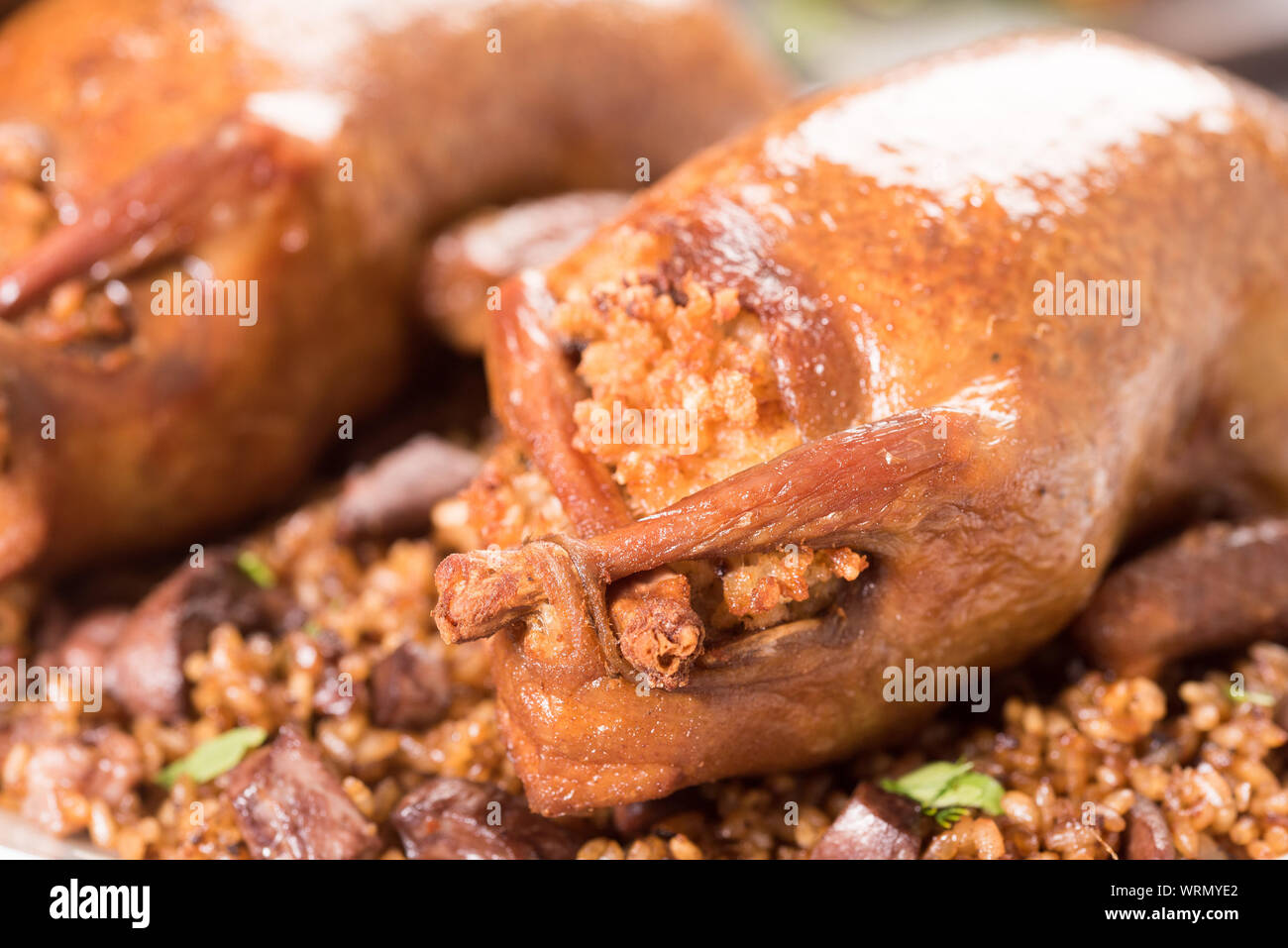 Oriental Roasted Hamam Meal with Mahshy and stuffed food Stock Photo ...