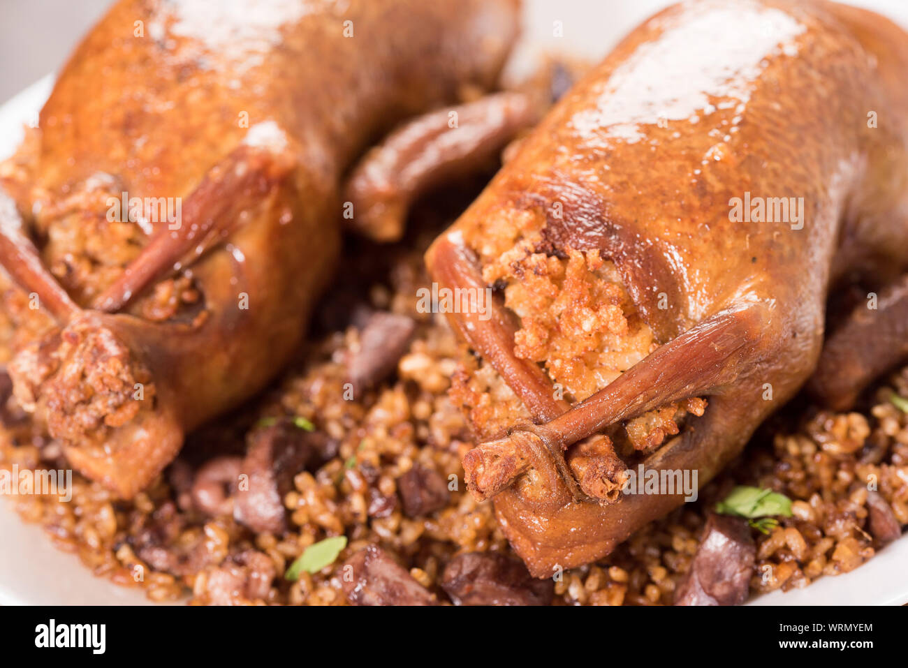 Oriental Roasted Hamam Meal with Mahshy and stuffed food Stock Photo ...
