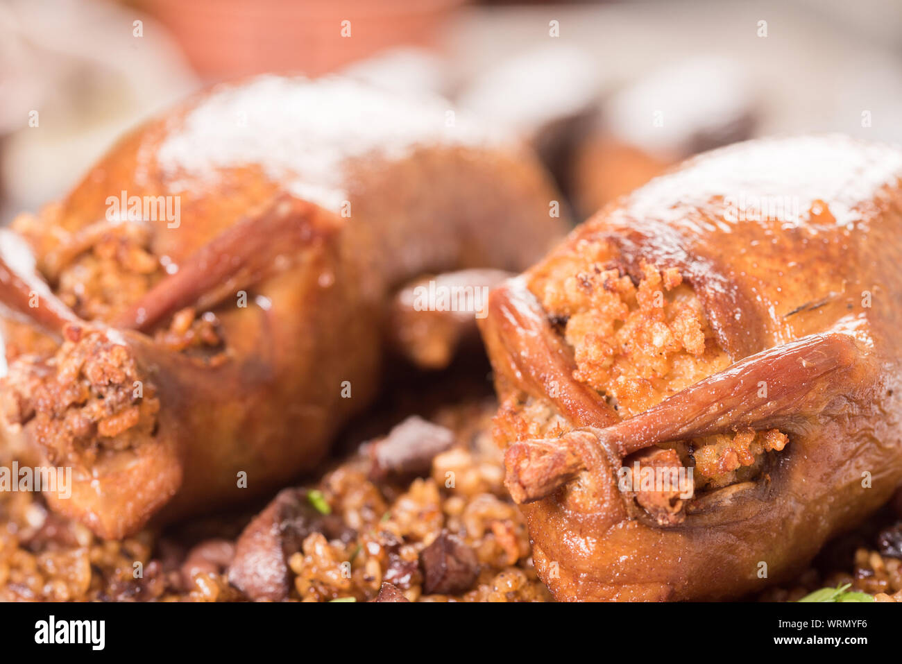 Oriental Roasted Hamam Meal with Mahshy and stuffed food Stock Photo ...