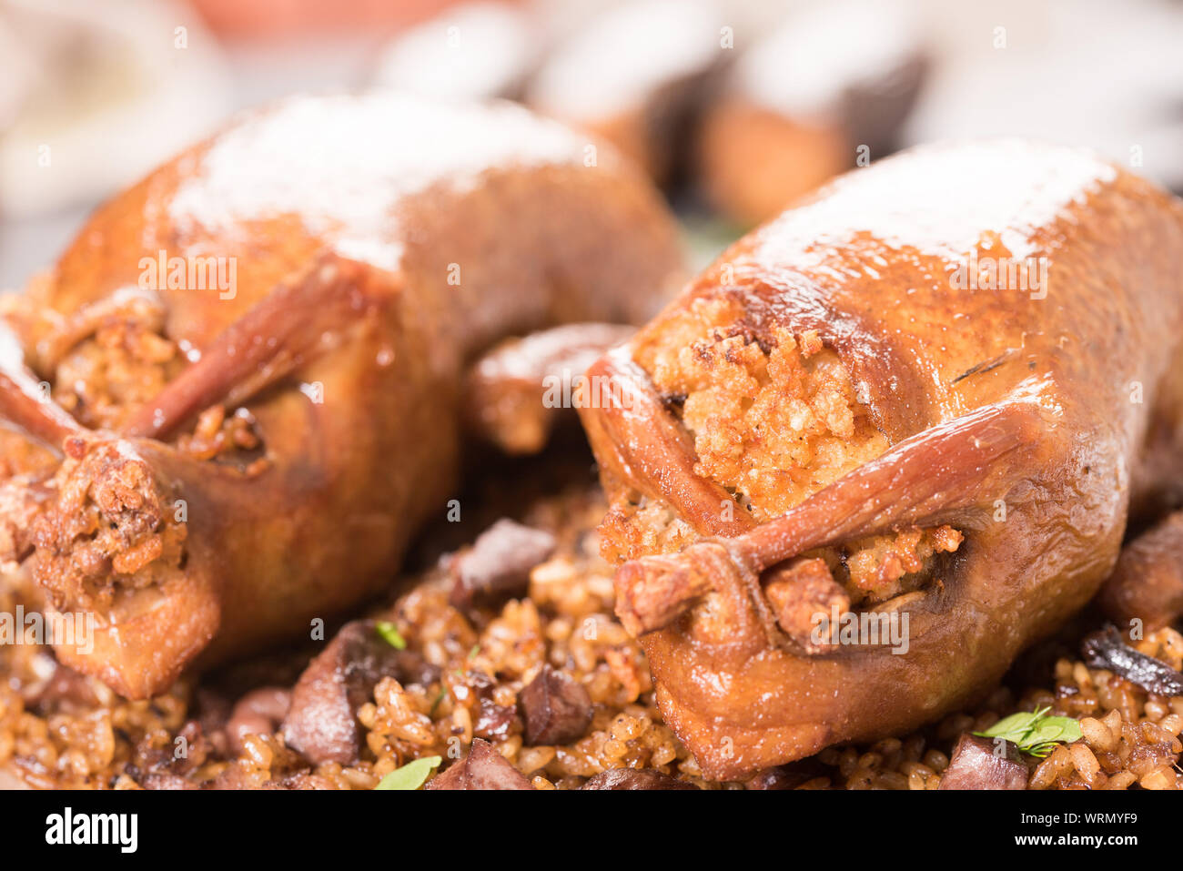 Oriental Roasted Hamam Meal with Mahshy and stuffed food Stock Photo ...