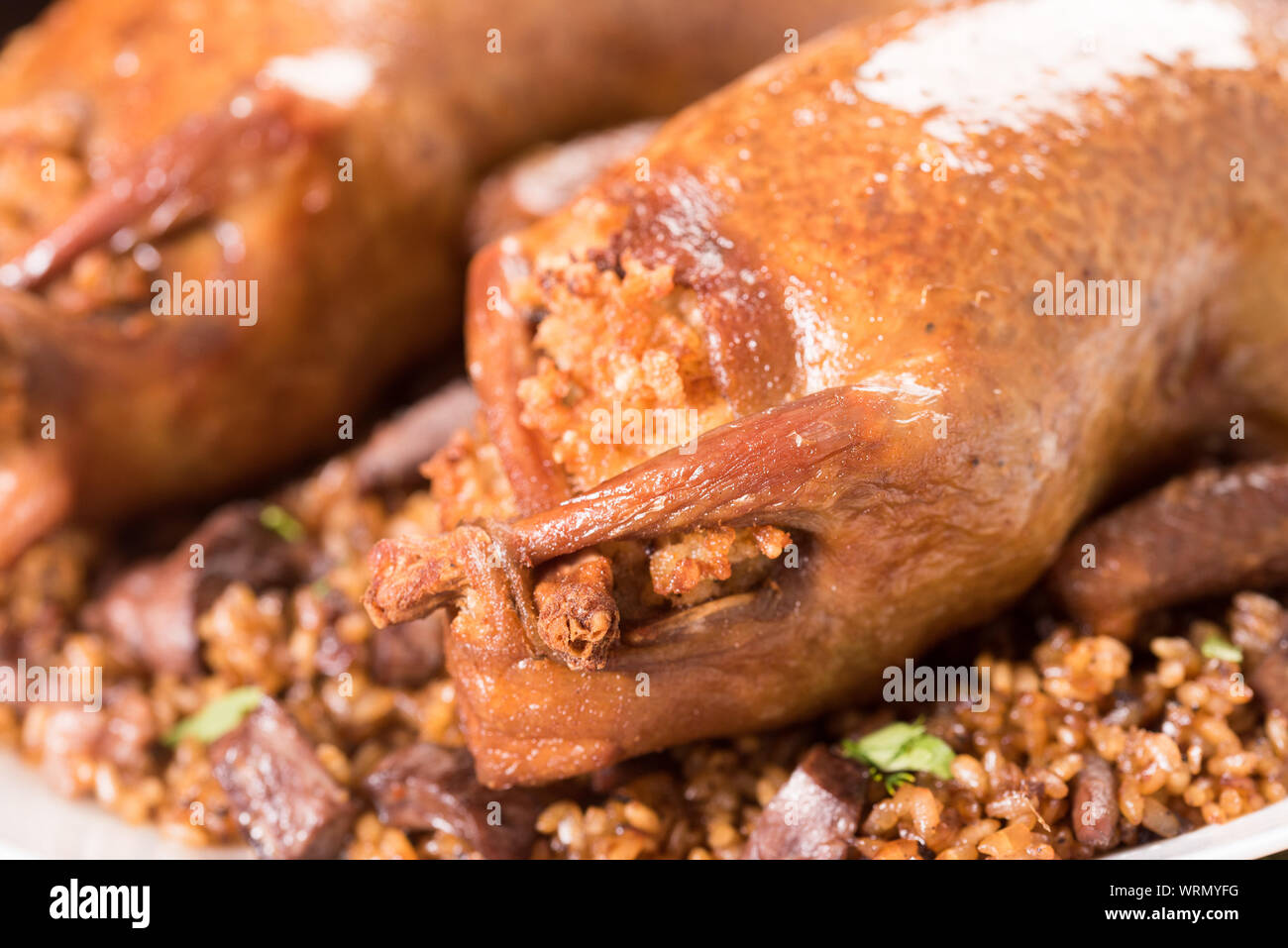 Oriental Roasted Hamam Meal with Mahshy and stuffed food Stock Photo ...