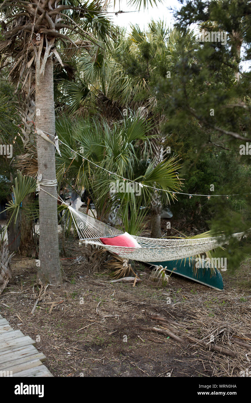 Hanging nature trees trees hi-res stock photography and images - Alamy